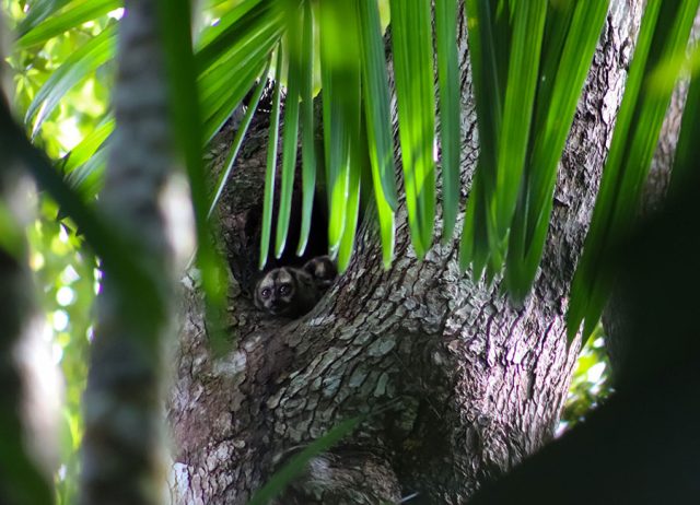 Photo gallery - Parque Natural Metropolitano