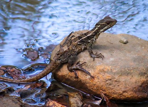 Photo gallery - Parque Natural Metropolitano