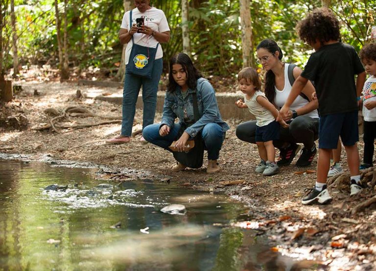 Jicotea Lagoon - Parque Natural Metropolitano