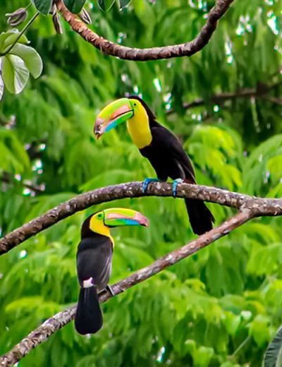 Home - Parque Natural Metropolitano