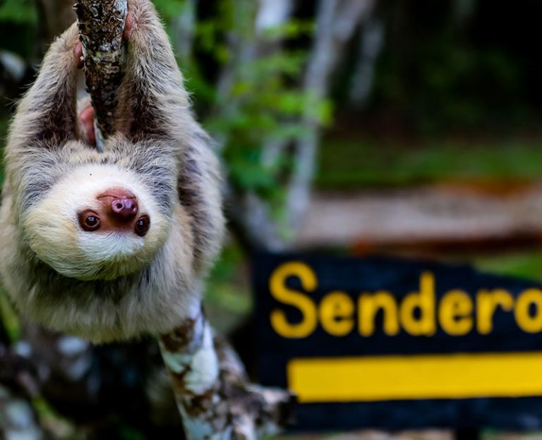 Home - Parque Natural Metropolitano