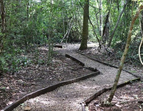 Los Caobos - Parque Natural Metropolitano
