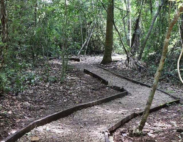 Los Caobos - Parque Natural Metropolitano